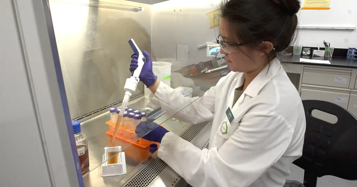 About SC Labs | SC Labs