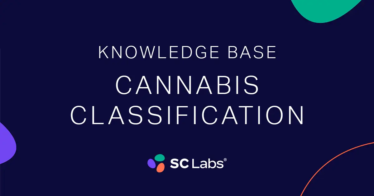The Definitive Cannabis Classification Guide | SC Labs